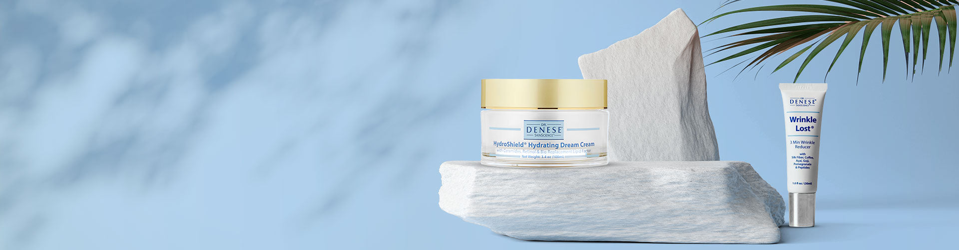 About Dr. Denese – DrDenese